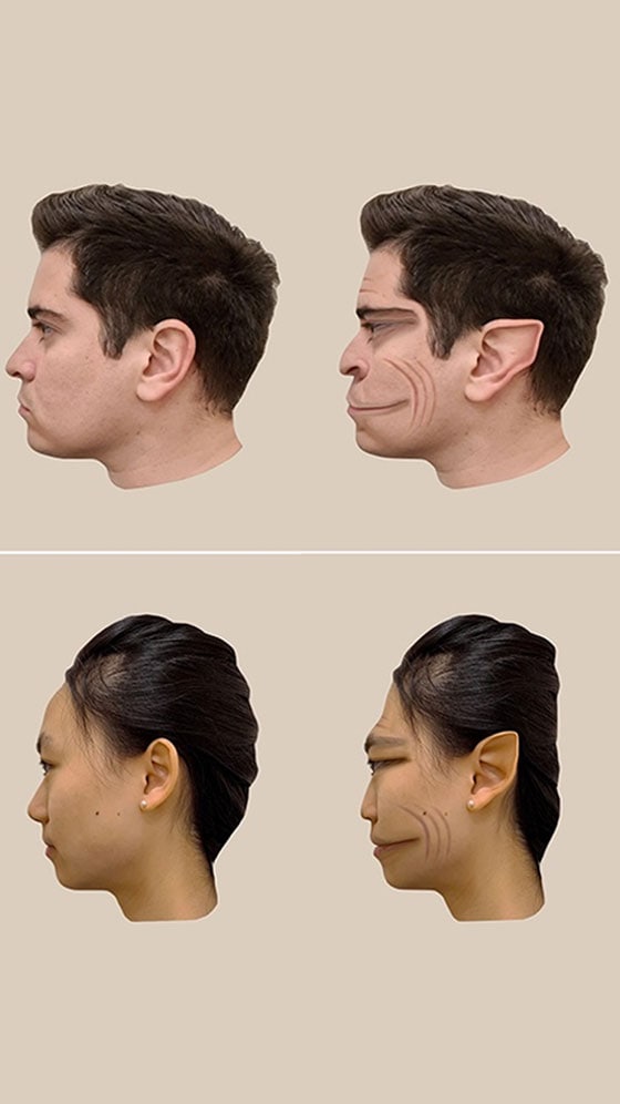 Latest | NDTV Mobile Visual Stories – NDTV.com