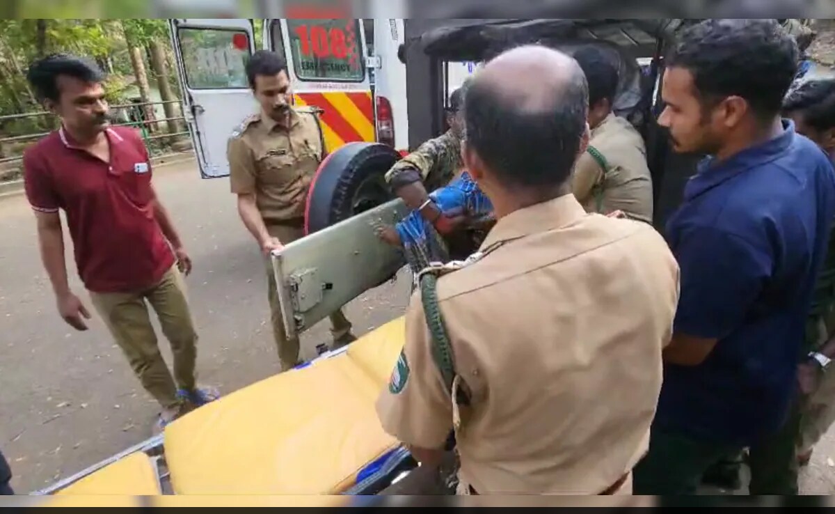 Two More Dead In Separate Incidents In Wild Animal Attacks In Kerala