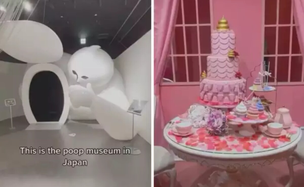दुनिया का सबसे अनोखा म्यूजियम, जापान के Poop Museum ने इंटरनेट पर मचाया ...