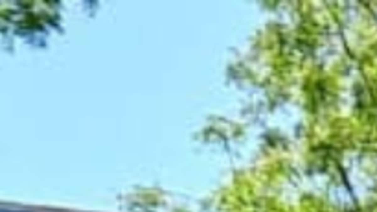 JNV विश्वविद्यालय में पूर्व कर्मचारियों का धरना: पूर्व वीसी बोलें- '75 ...