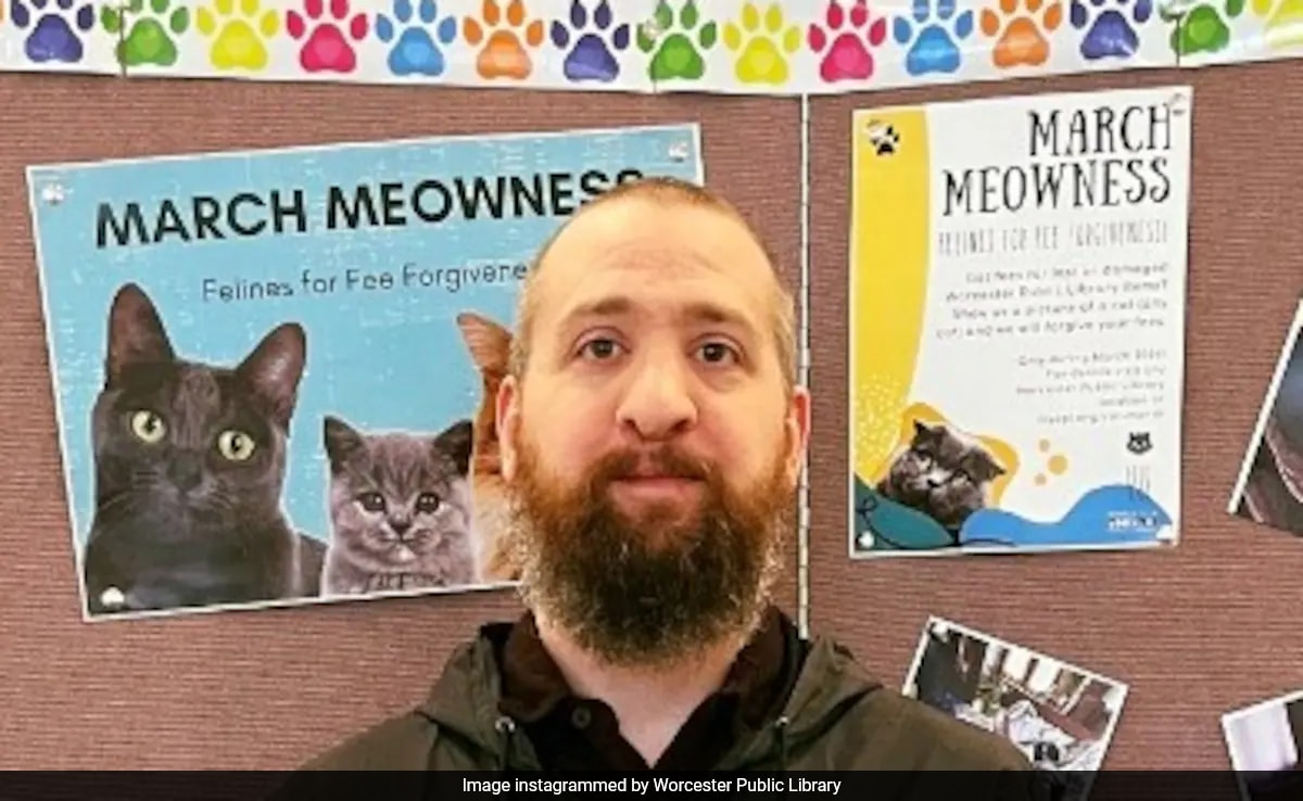 'March Meowness:' US Library Allows People To Pay Fees With Cat Pictures