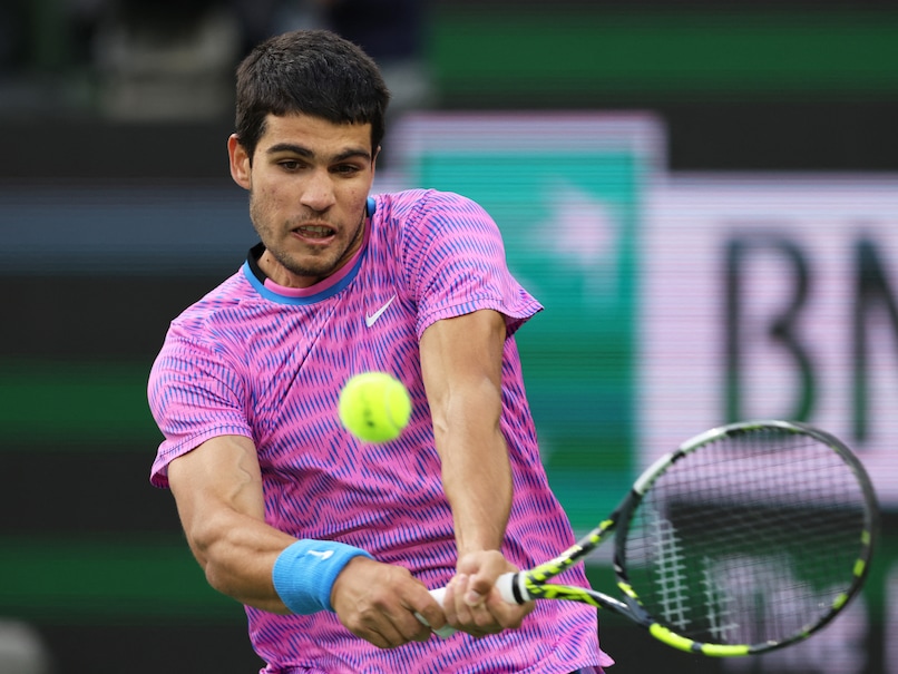 Carlos Alcaraz Powers Through 'Bee Invasion', Alexander Zverev To Reach ...