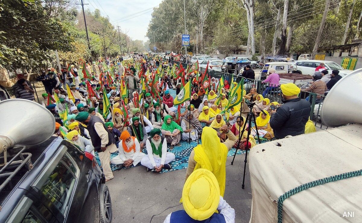 Farmers' Protest - Punjab and Haryana High Court Raps Protesting ...