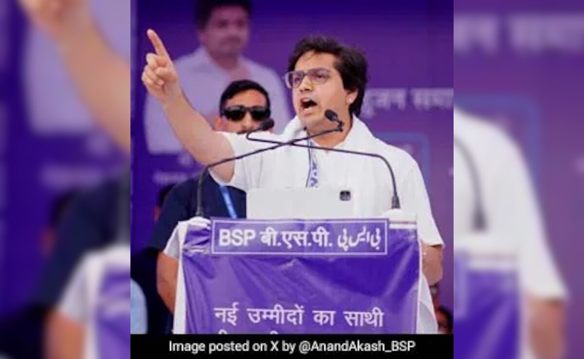 यूपी : 'अपमानजनक भाषा मामले' के बाद बीएसपी नेता आकाश आनंद की रैली ...