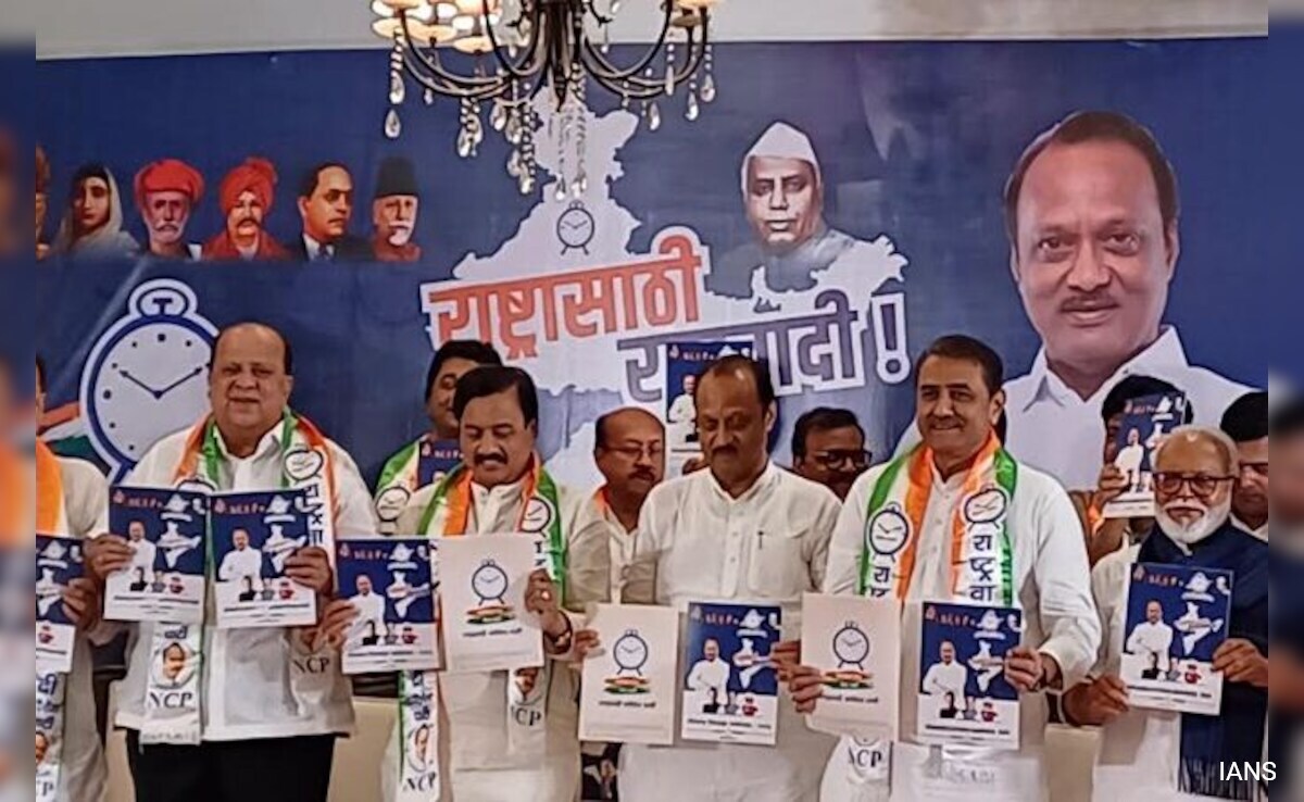 Lok Sabha Polls 2024: Caste Census, MSP To Farmers Among NCP's Top Poll Promises