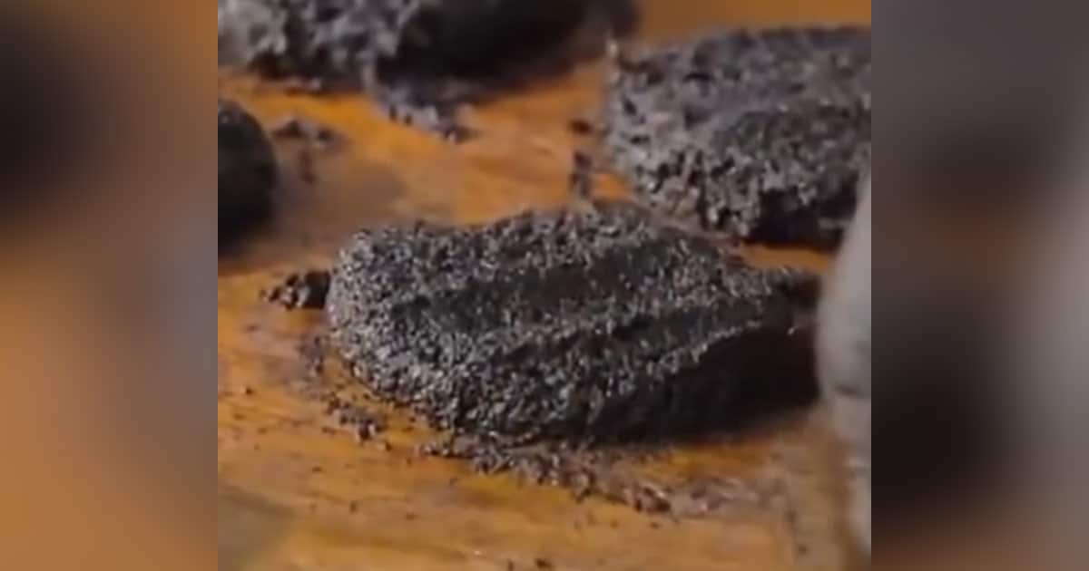 This 'Mosquito Burger' Is A Delicacy In Africa