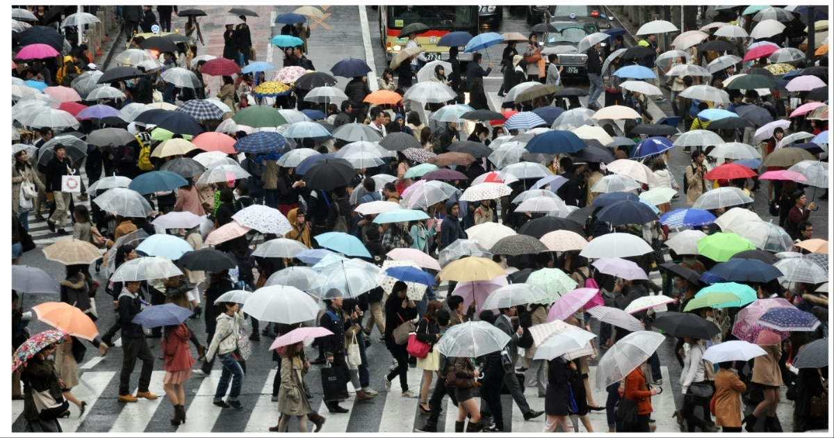 8 Most Densely Populated Countries In The World