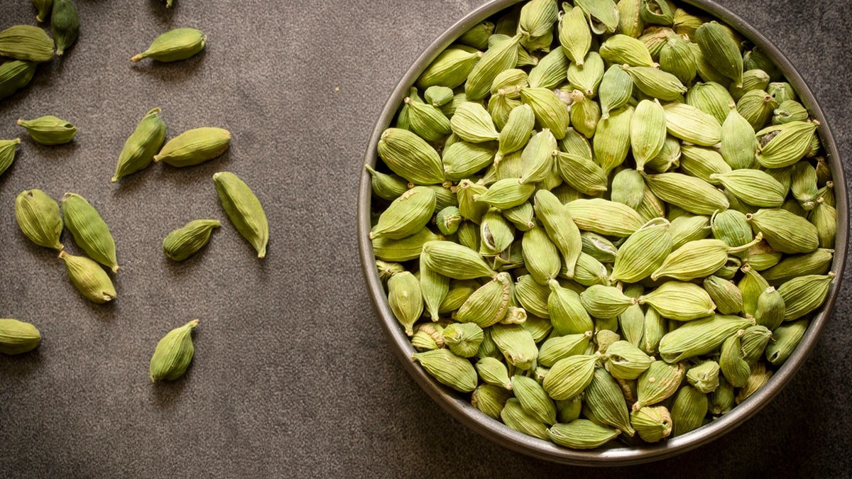 Cardamom Benefits: खुशबू से भरपूर छोटी इलाइची खाने से मिलते हैं ये ...