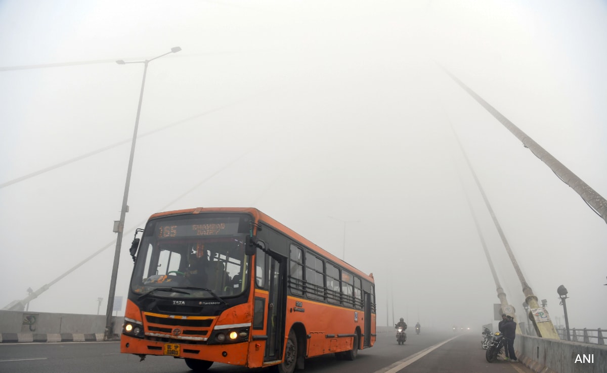 Woman Enters Crowded Delhi Bus Wearing A Bikini, Gets Mixed Reactions ...
