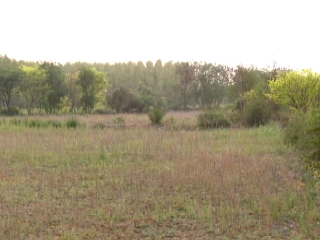 Haryana Sets Up Panel To Examine IAS Officer's September Order