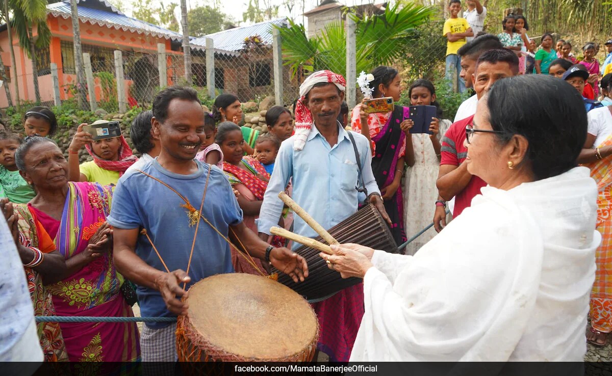 Watch: Mamata Banerjee Plays Dhamsa, Dances With Tribals In North ...