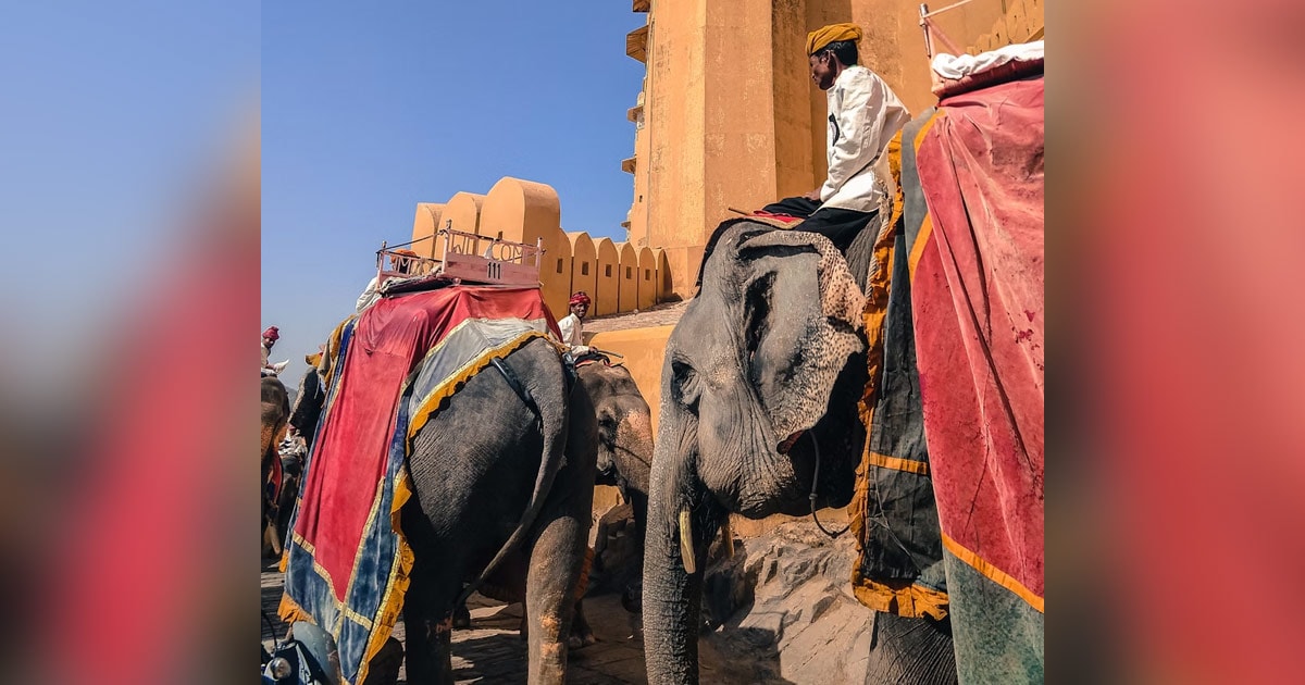 10 Must Visit Forts In India