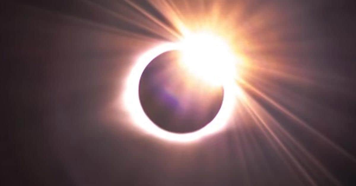 How Animals And Nature React To Eclipse