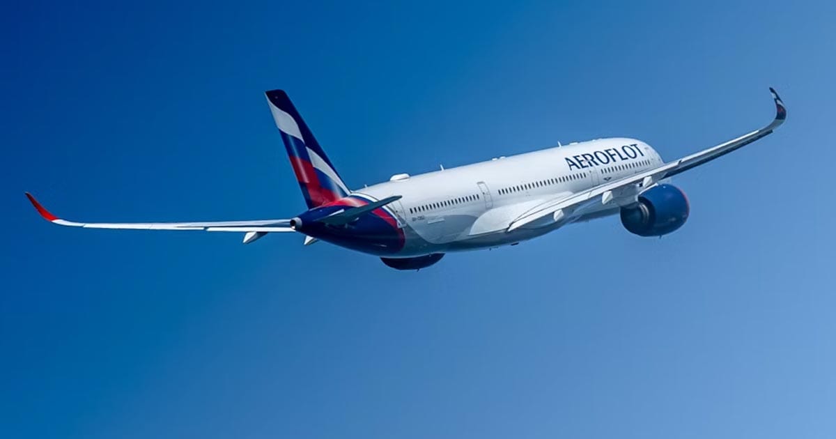 Aeroflot Flight 593: A Deadly Crash Caused By A Child