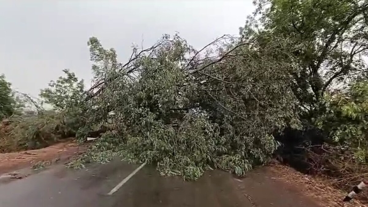 MP Weather: भीषण गर्मी के बाद तेज आंधी के साथ हुई बारिश बनी जानलेवा, 3 ...