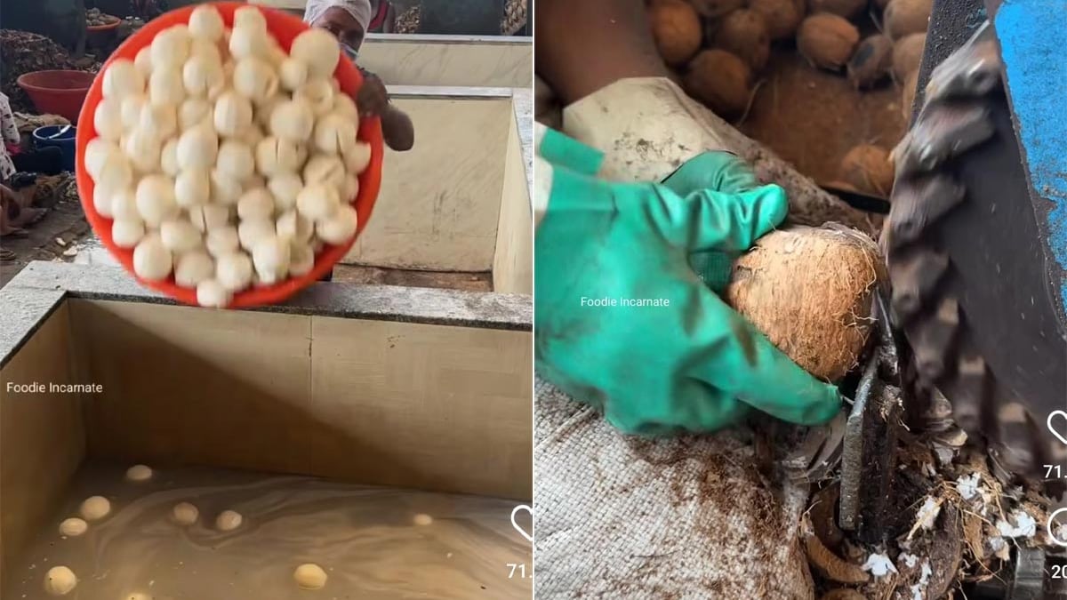 "Indias Only Zero Waste Food Industry?" Video Of Coconut Factory Has ...