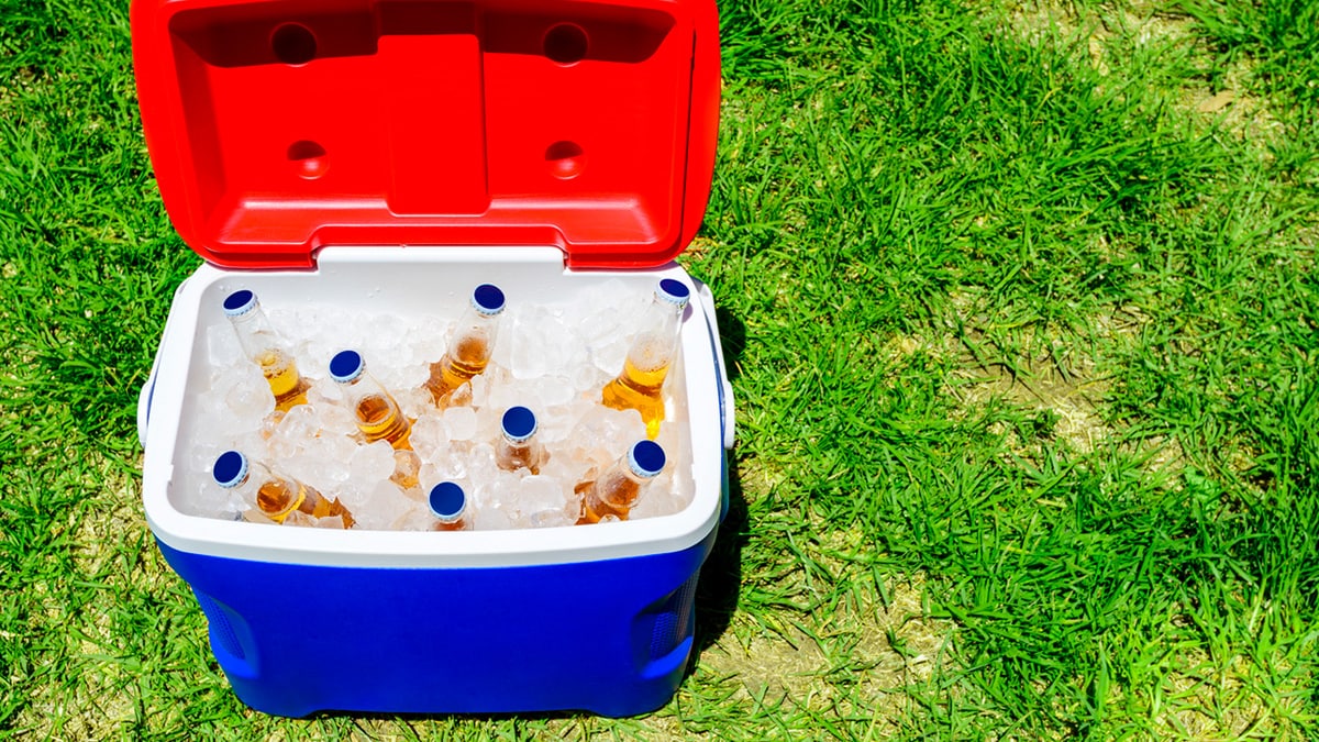 5 Clever Ways To Keep The Ice From Melting In Your Icebox - NDTV Food