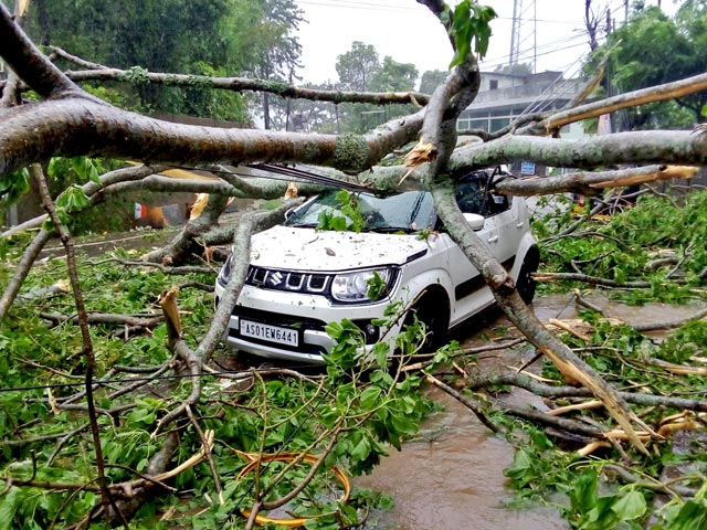Cyclone Remal Leaves Devastation In Its Wake In Northeast