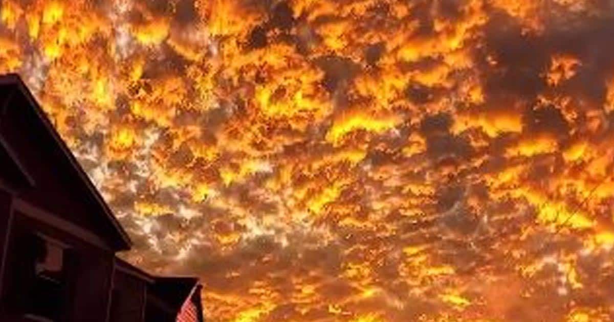 Most Liked Instagram Posts Of All Time: 2024 Update