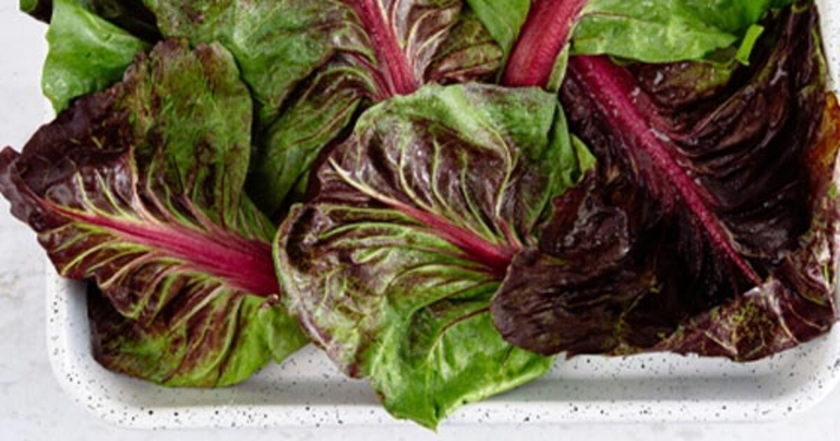 6 Lettuce Varieties For Salad Lovers