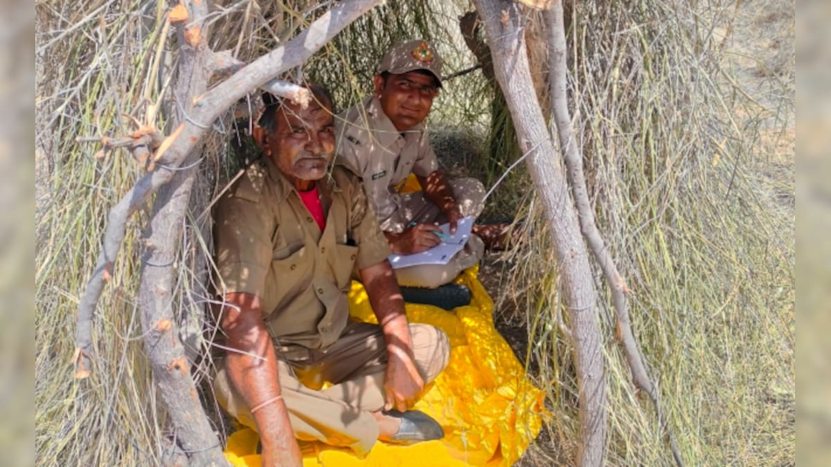 Jaisalmer: तपते रेगिस्तान में वन्यजीवों की गिनती कर रहे वन्यजीवकर्मी ...
