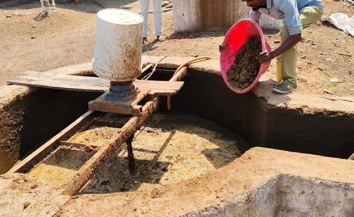 Vidarbha largest Gobargas project How is electricity generated from dung