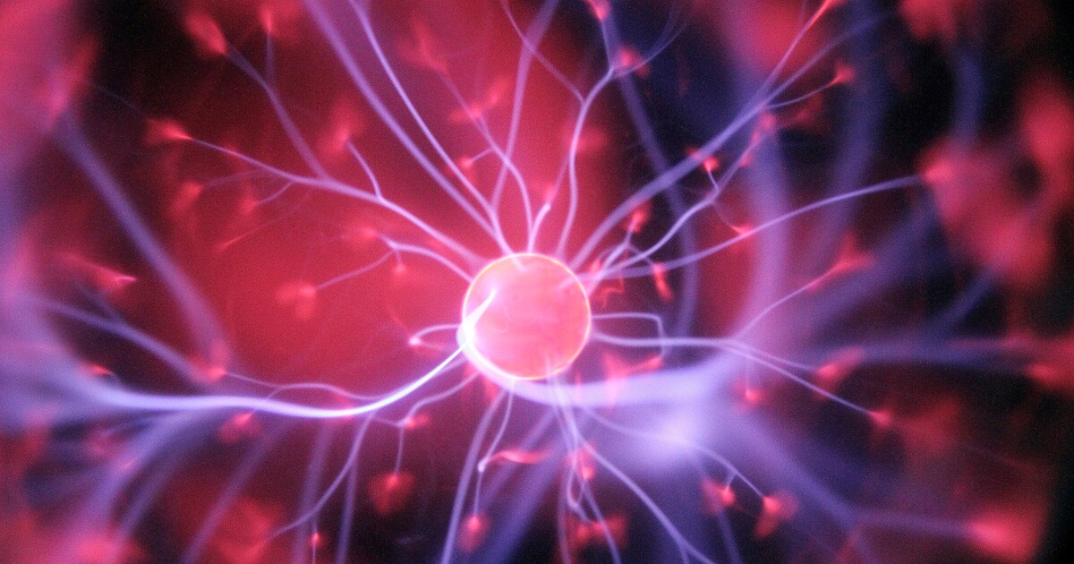 Scientists Connect 16 Human Mini-Brains, Make Biocomputer