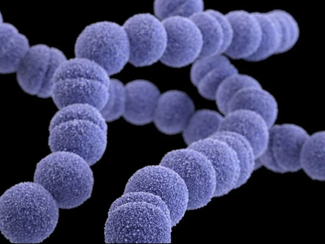 Rare "Flesh-Eating Bacteria" That Can Kill In 2 Days Spreading In Japan