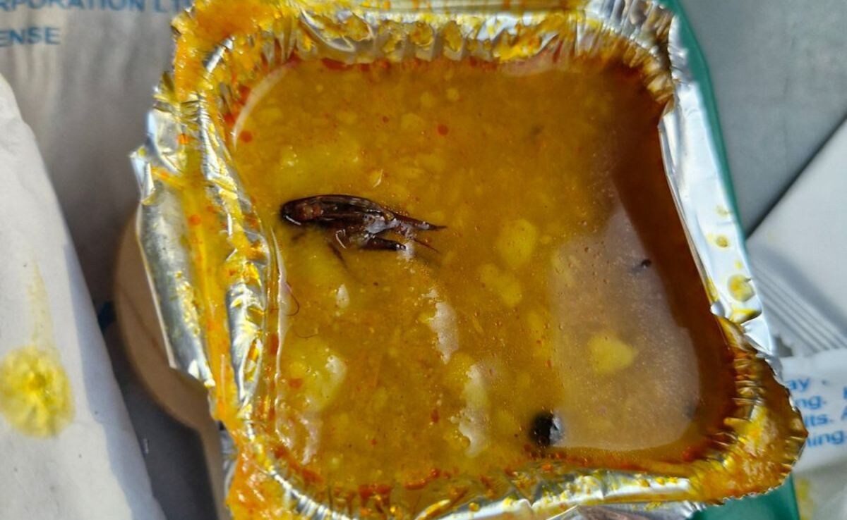 Cockroach | Know All About Cockroach at NDTV Food