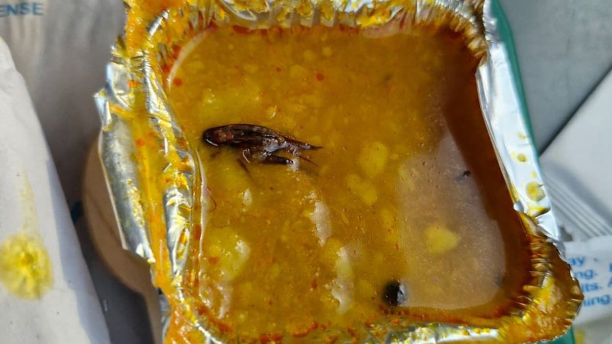 "Please Take Strict Action": Couple Finds Dead Cockroach In Vande ...