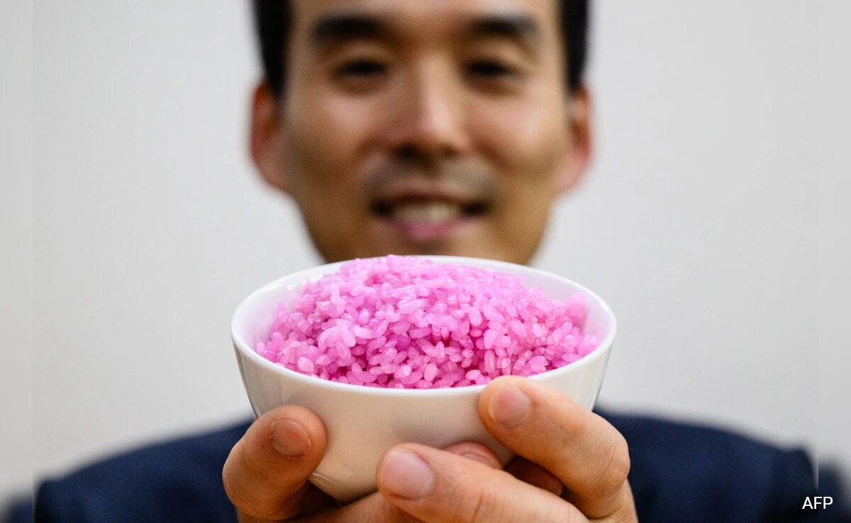 Revolutionary Food? Meat Injected In Individual Grains Of Rice In Seoul Lab
