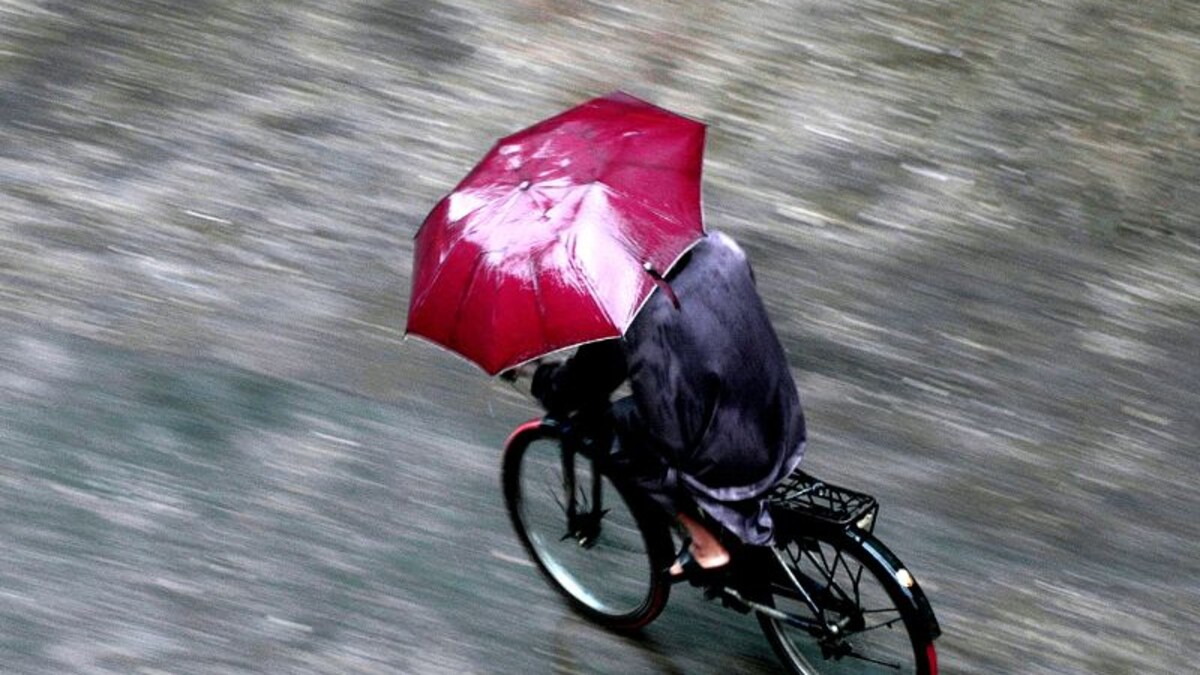 Monsoon 2024: मध्य प्रदेश में कब दस्तक देगा मानसून, कितनी फीसदी बारिश ...