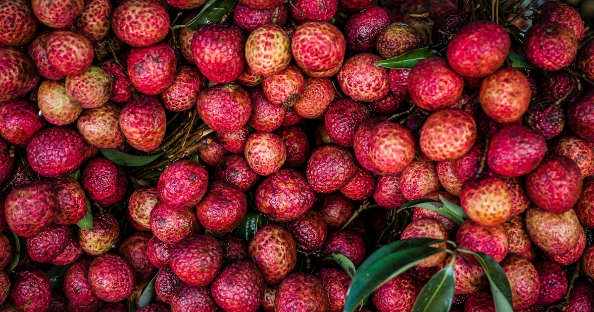 कहीं आप भी केमिकल वाली लीची तो नहीं खा रहे, ऐसे करें पहचान