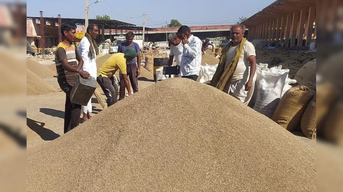 Rajasthan Mandi: राजस्थान में सरसों, मूंग और चना के दाम हुए बदलाव ...