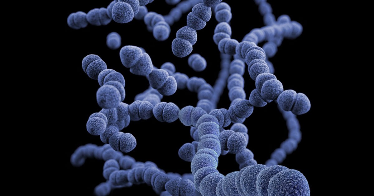 Flesh-Eating Bacteria In Japan: Symptoms, Prevention