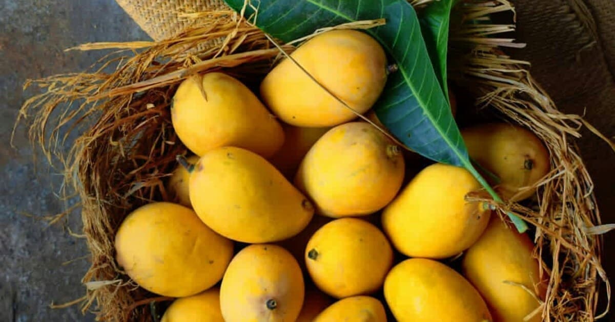 Mango: Know Top Health Benefits