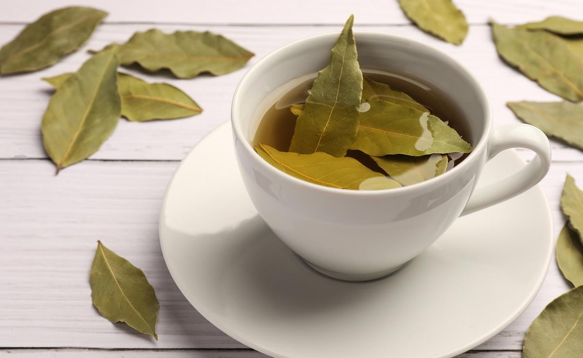 इन 4 लोगों को जरूर करना चाहिए इस पत्ते की चाय का सेवन, लिस्ट में जानें ...