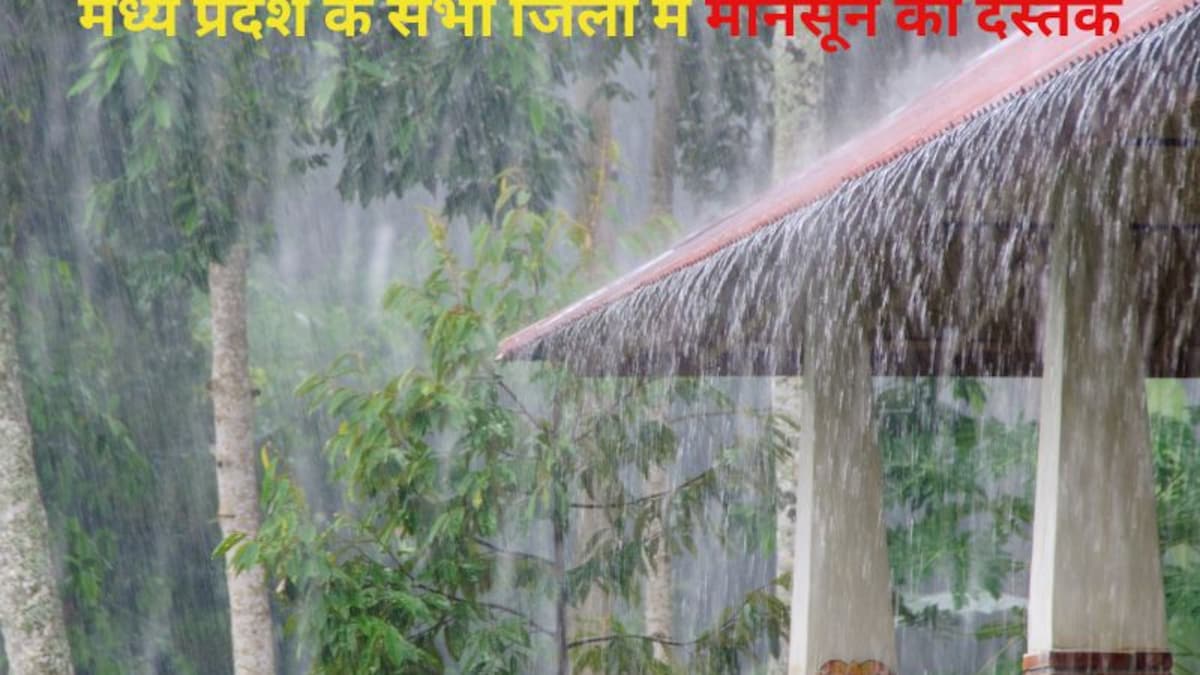 Rain in MP: मानसून ने मध्य प्रदेश के सभी जिलों को किया कवर, आज भी 11 ...