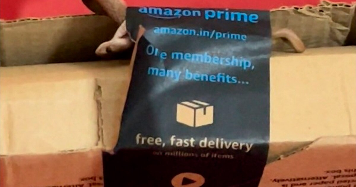 5 Bizarre Items People Found In Online Packages