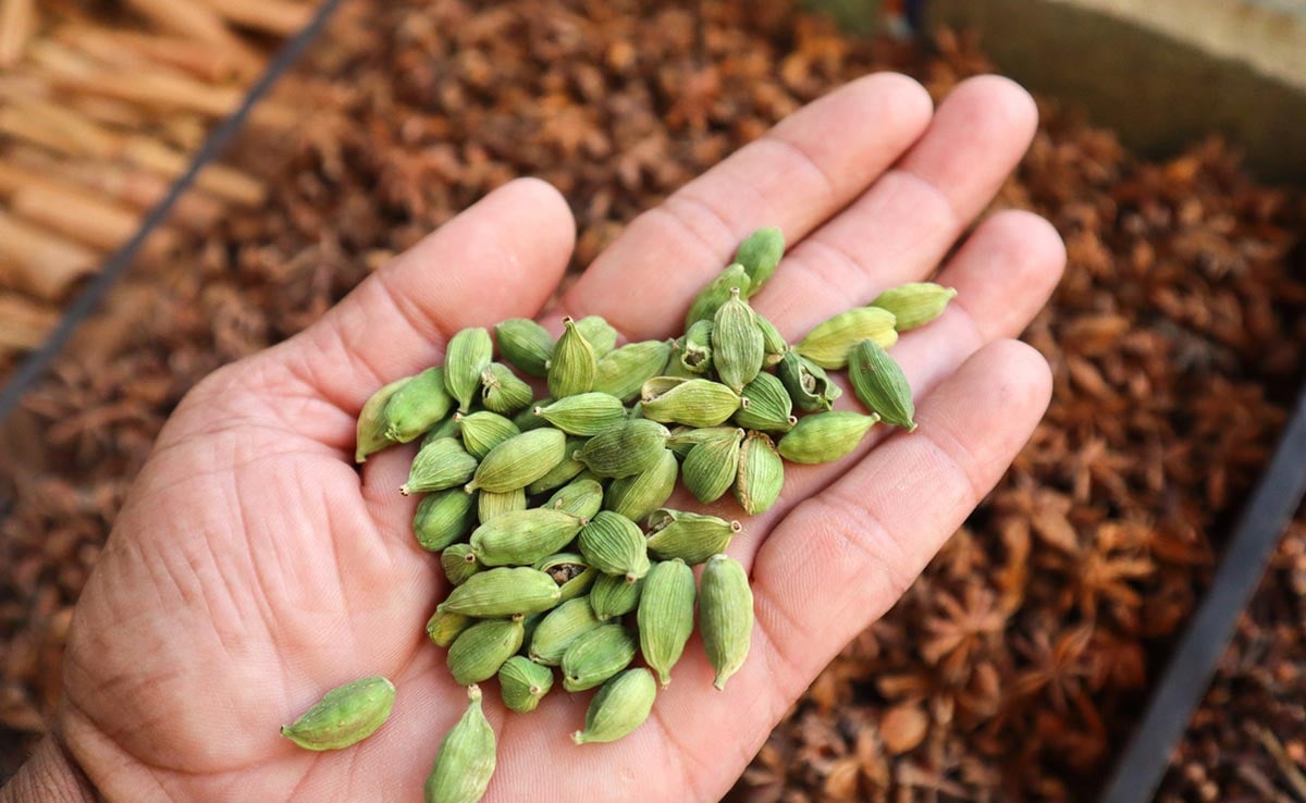 Health Benefits Of Chewing Cloves, Cardamom