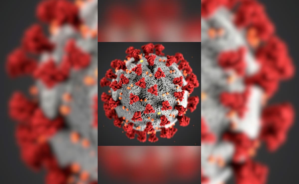 XEC Covid variant spread in 27 countries, What are the symptoms