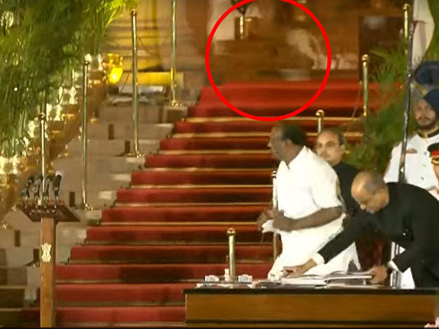 Big Cat Or Leopard? Animal Casually Strolling Behind Oath Ceremony In ...