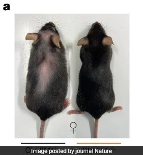 Scientists Develop Breakthrough Anti-Ageing Drug That Extends Lifespan ...