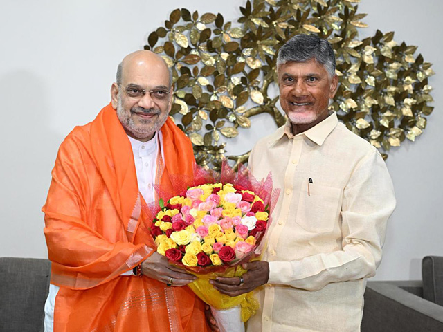 Ahead Of Budget, Chandrababu Naidu Meets Amit Shah In Delhi