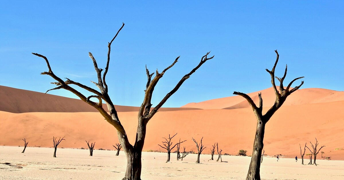 Largest Deserts In The World