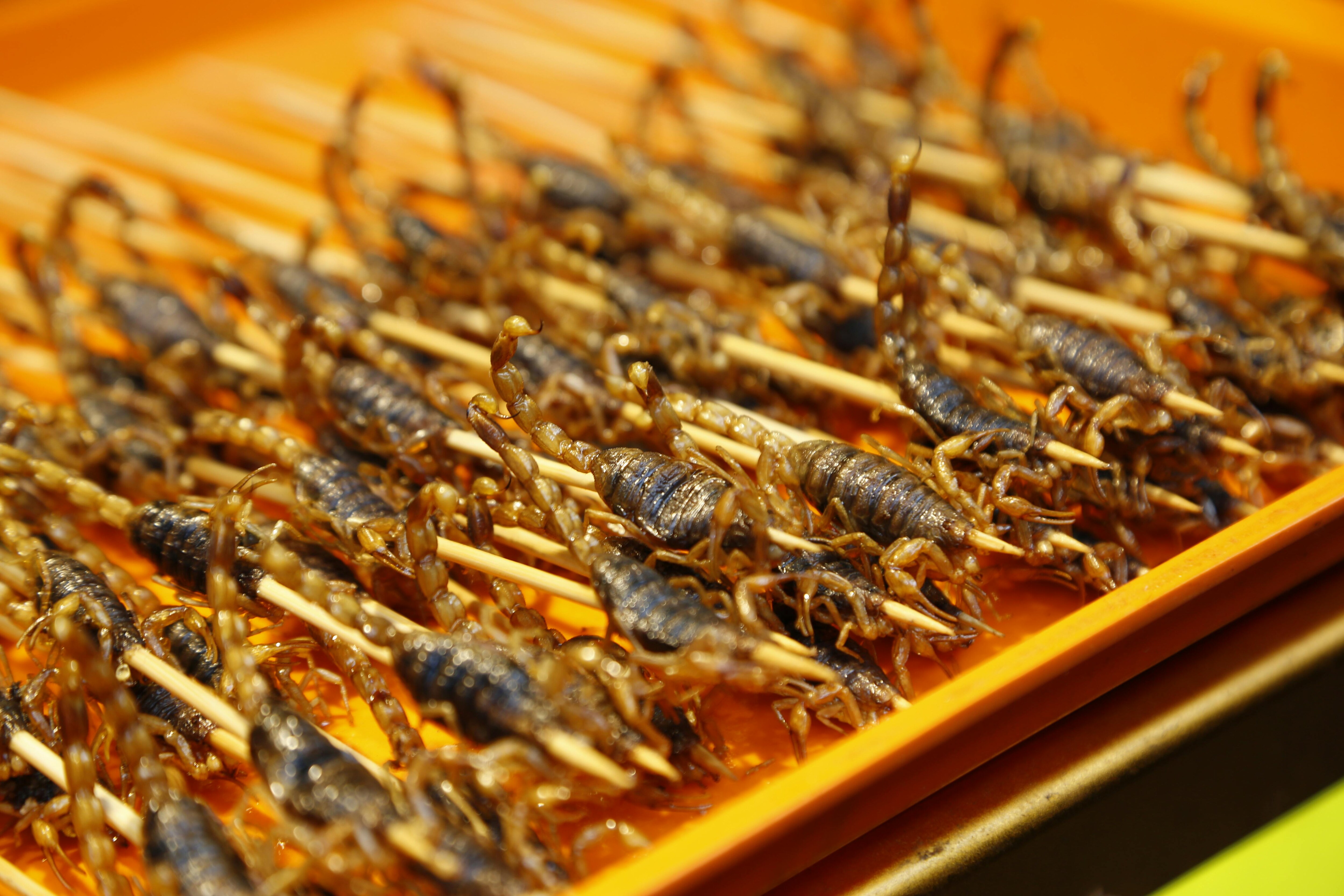 Insects For Human Consumption | Know All About Insects For Human ...