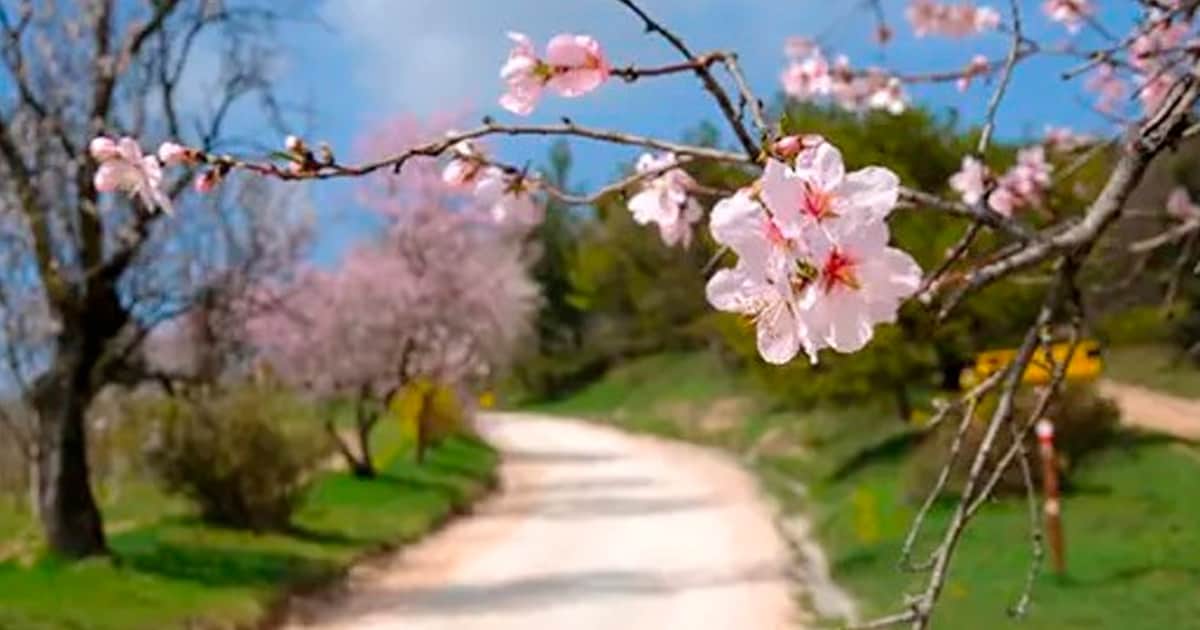 UNESCO Designates 11 New Biosphere Reserves: Full List