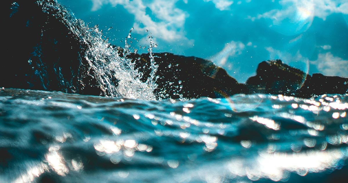 Earth's Oceans Are Turning Green. Here's Why