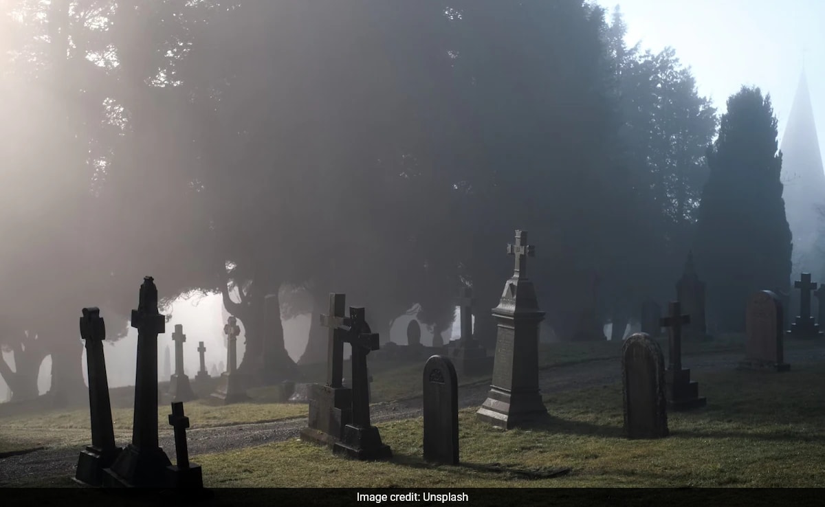 Cemetery In Thailand Organises Movie Night For The Dead, Internet Calls ...