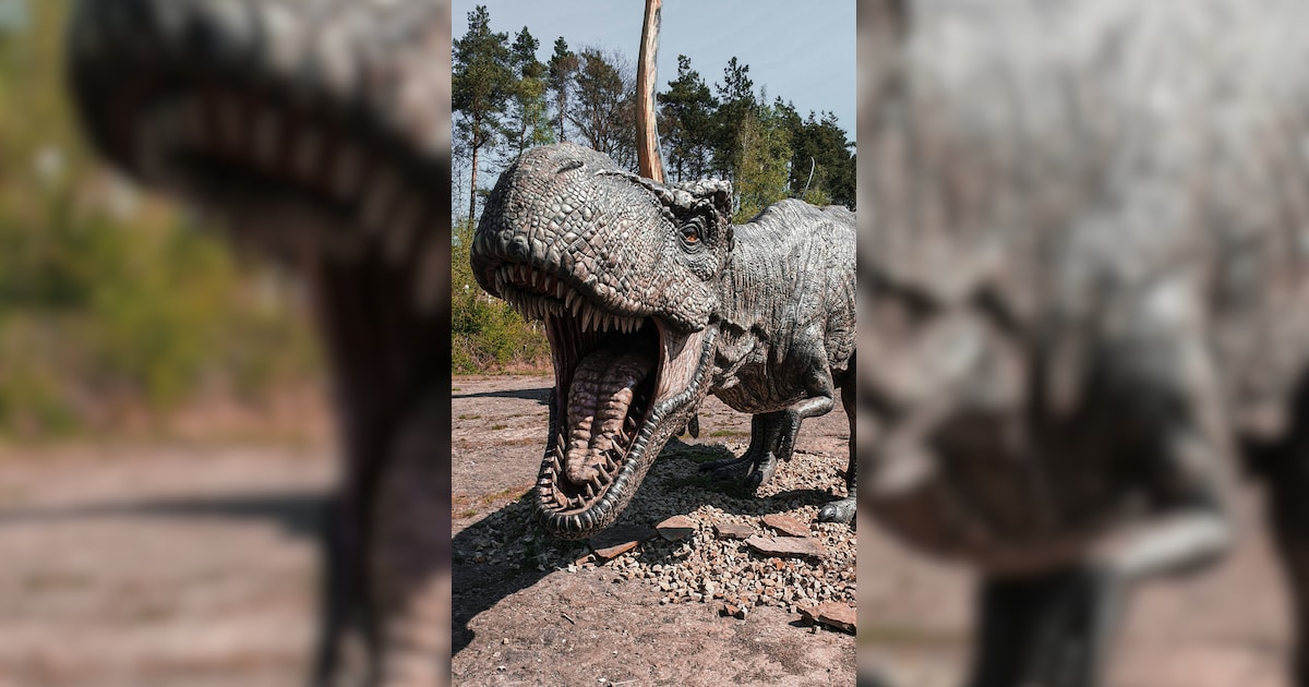 Animals That Lived Before Dinosaurs